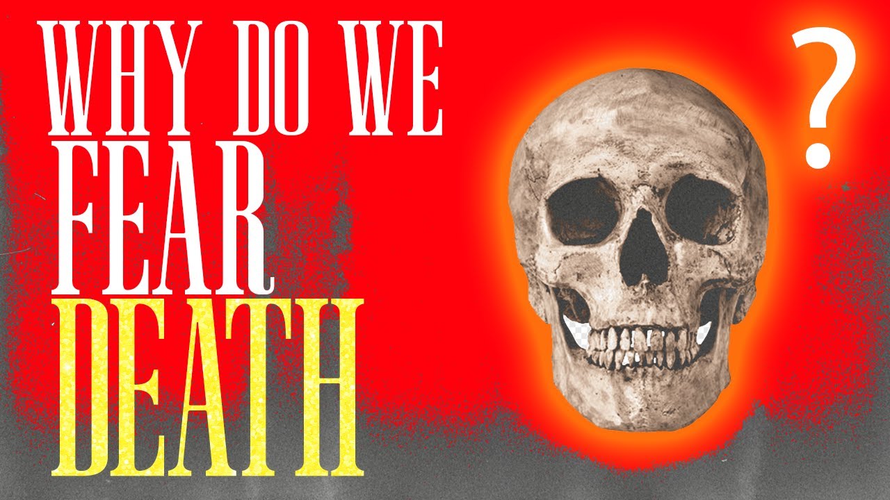 Why Do We Fear Death? – A Philosophical Bedtime Story. Video To Watch ...