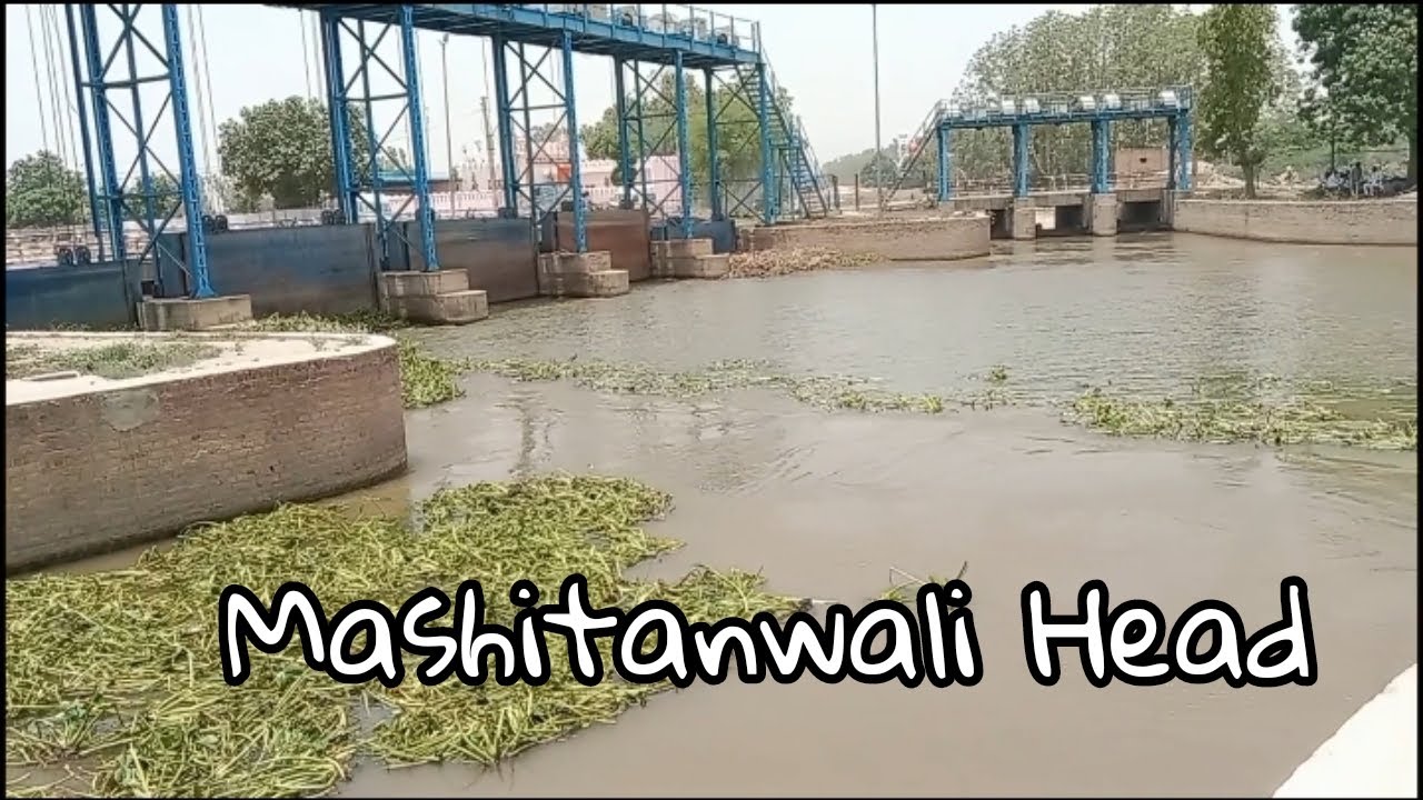 IGNP Masitanwali Head Rajasthan | Masitanwali Head | IGNP | Indira ...