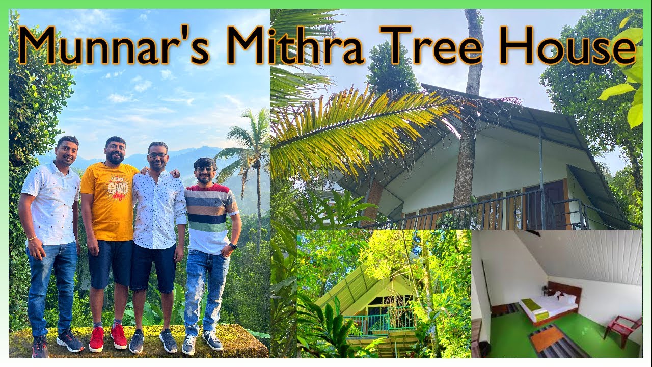 🌿 Explore the Magic of Munnar's Mithra Tree House! || Mithra Munnar ...