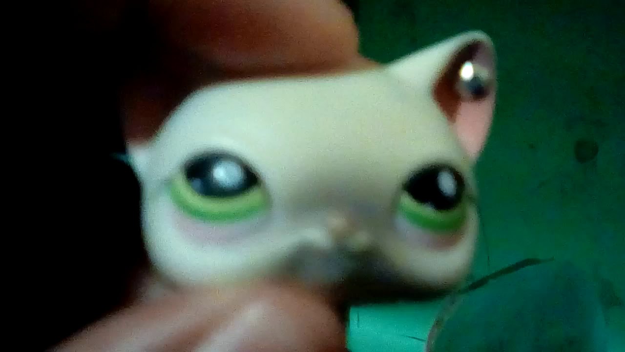 lps diy:How to make your LPS Look like it hasn't slept up In years Red ...