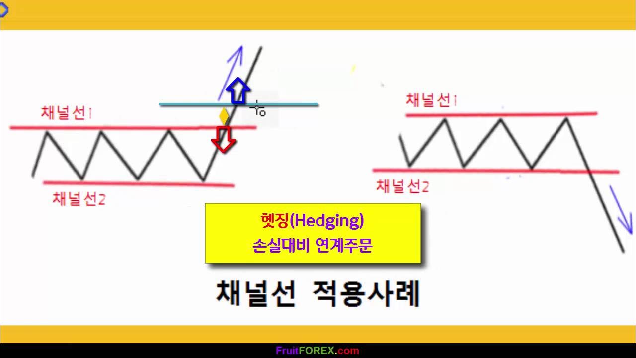 Goldline 제품소개 45 채널선 작동 설명 메타트레이더mt4 자동매매 시스템 트레이딩 Ea 개발 및 Mql 프로그래밍 강좌강의 Youtube