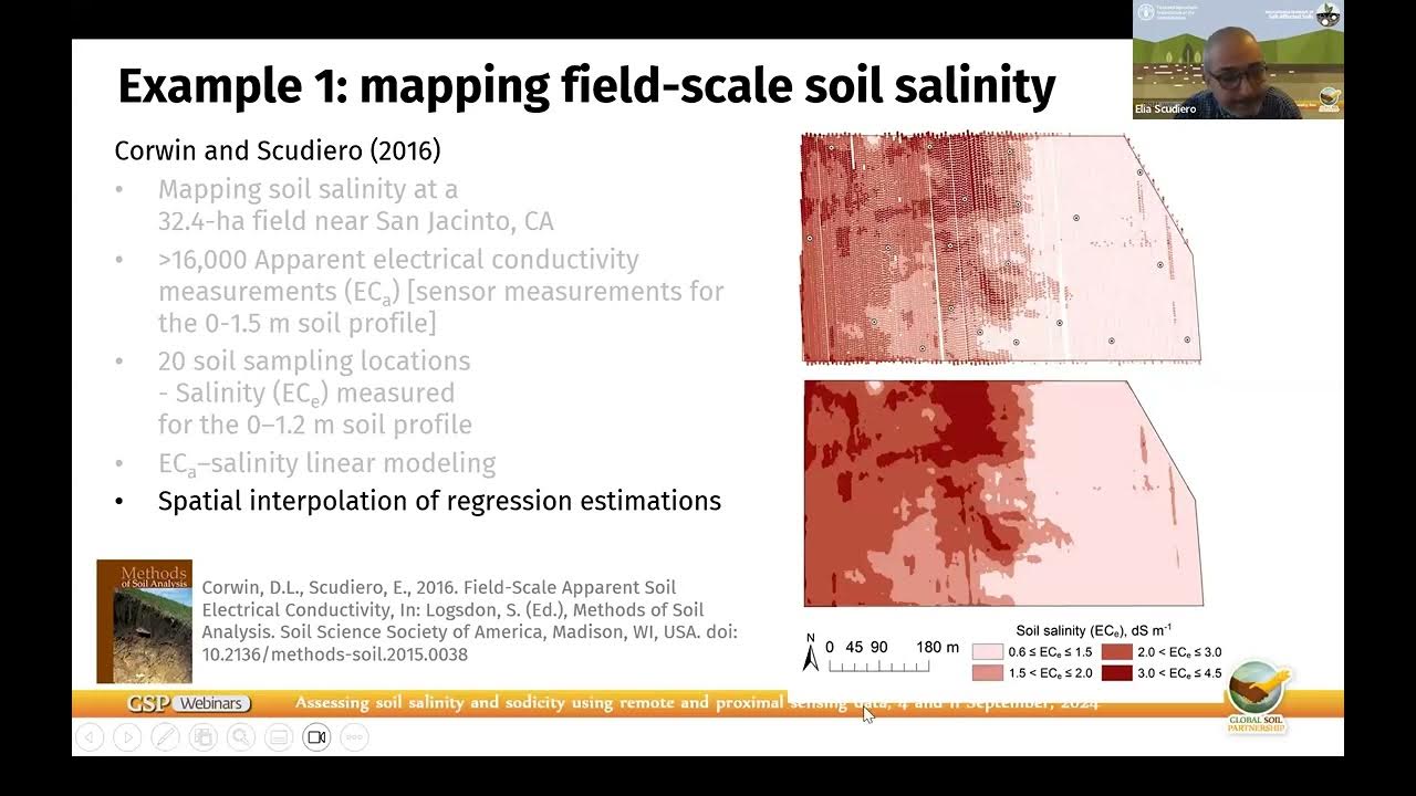 Assessing soil salinity and sodicity using remote and proximal sensing ...