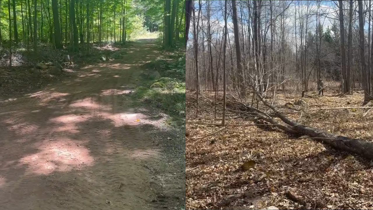 Driveway Side-by-side Comparison - Before and After - 9/31/24 - YouTube