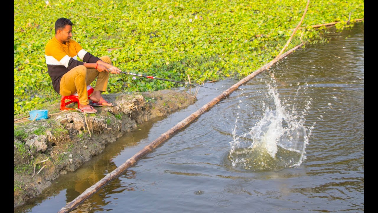 Best Fish Hunting in Village Canal - Fish Hunting at the Canal With ...