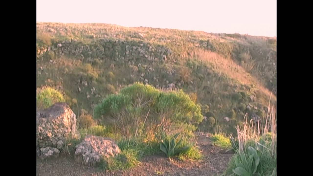 The Divine Presence, Connecting to the Shechinah - YouTube