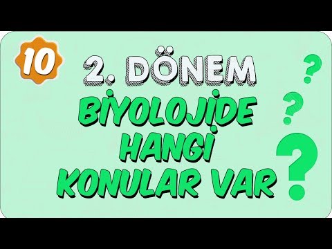 10. Sınıf 2. Dönem Biyolojide Hangi Konular Var?