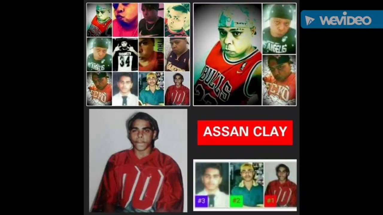 😎PALM ISLAND TSV RAP - YouTube