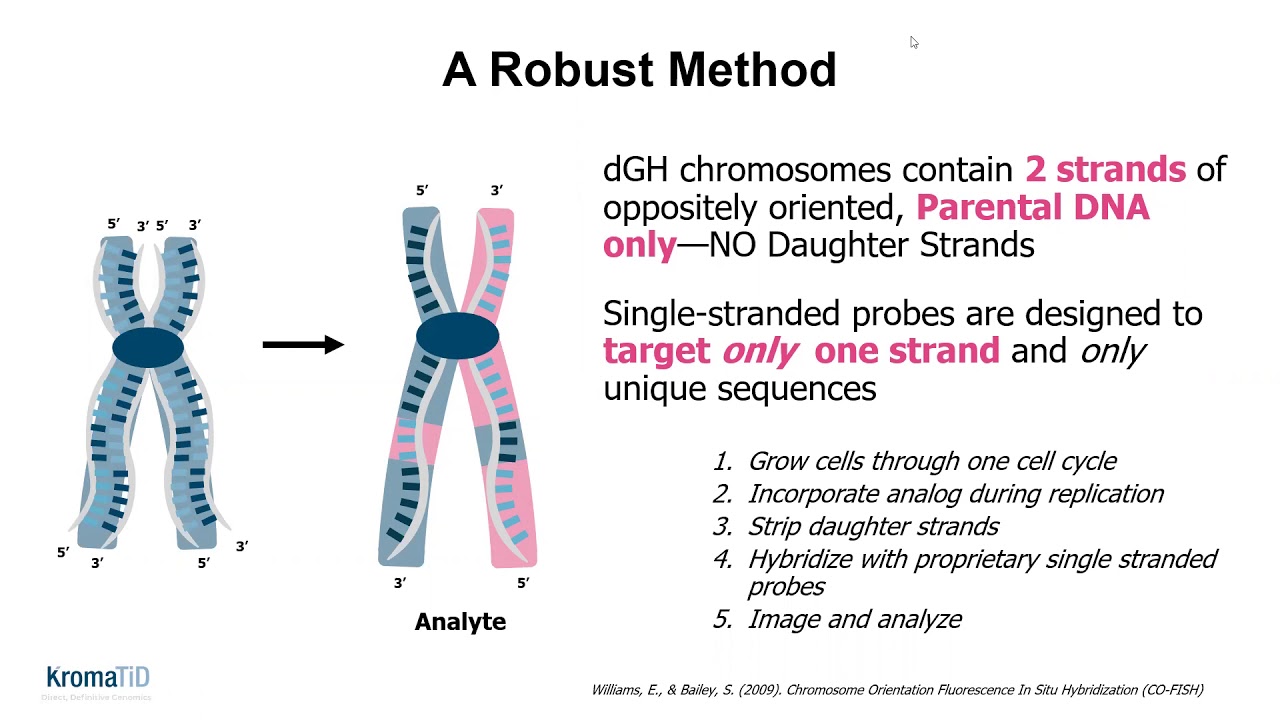 Next Gen Omics Presentation - YouTube