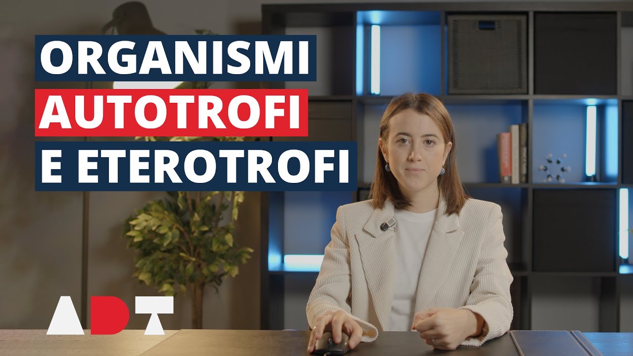 Organismi Autotrofi ed Eterotrofi - il metabolismo cellulare in meno di ...