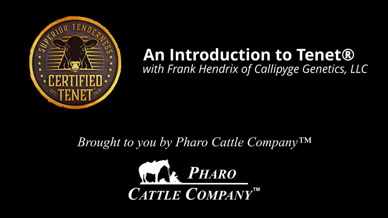 Introduction to Tenet® with Frank Hendrix - YouTube