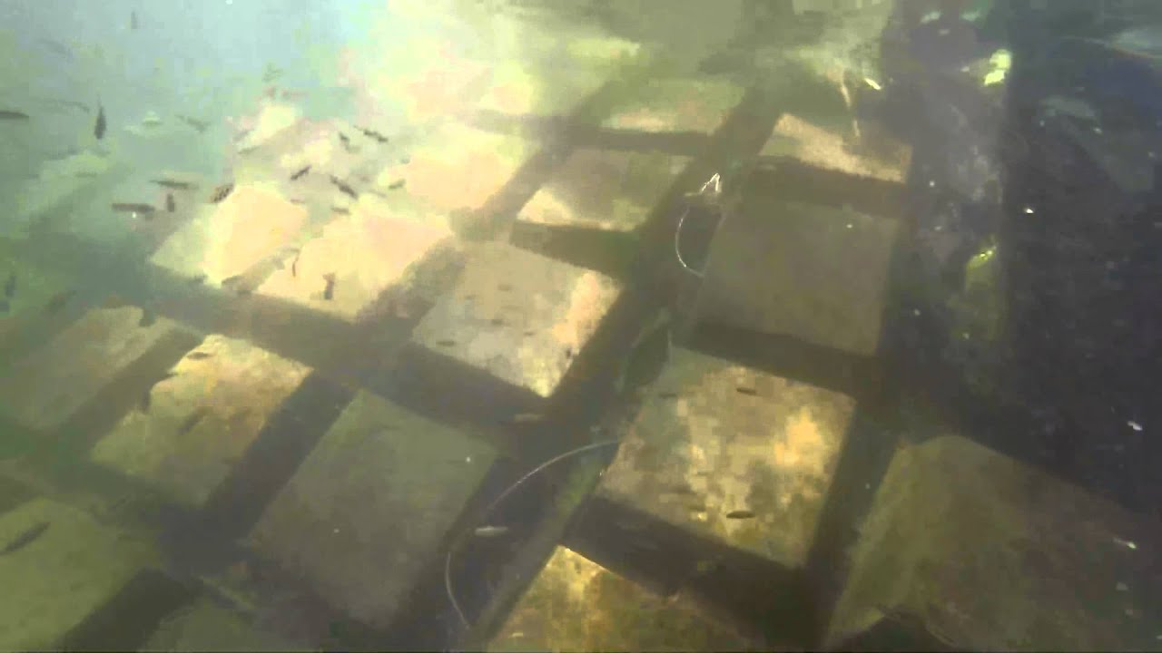 Grays Bay Dam Under Water GoPro Black Hero3 - YouTube