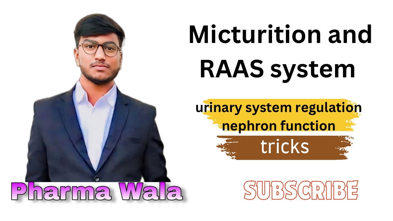 Micturition and RAAS system by Pharma wala urinary system and urinary ...
