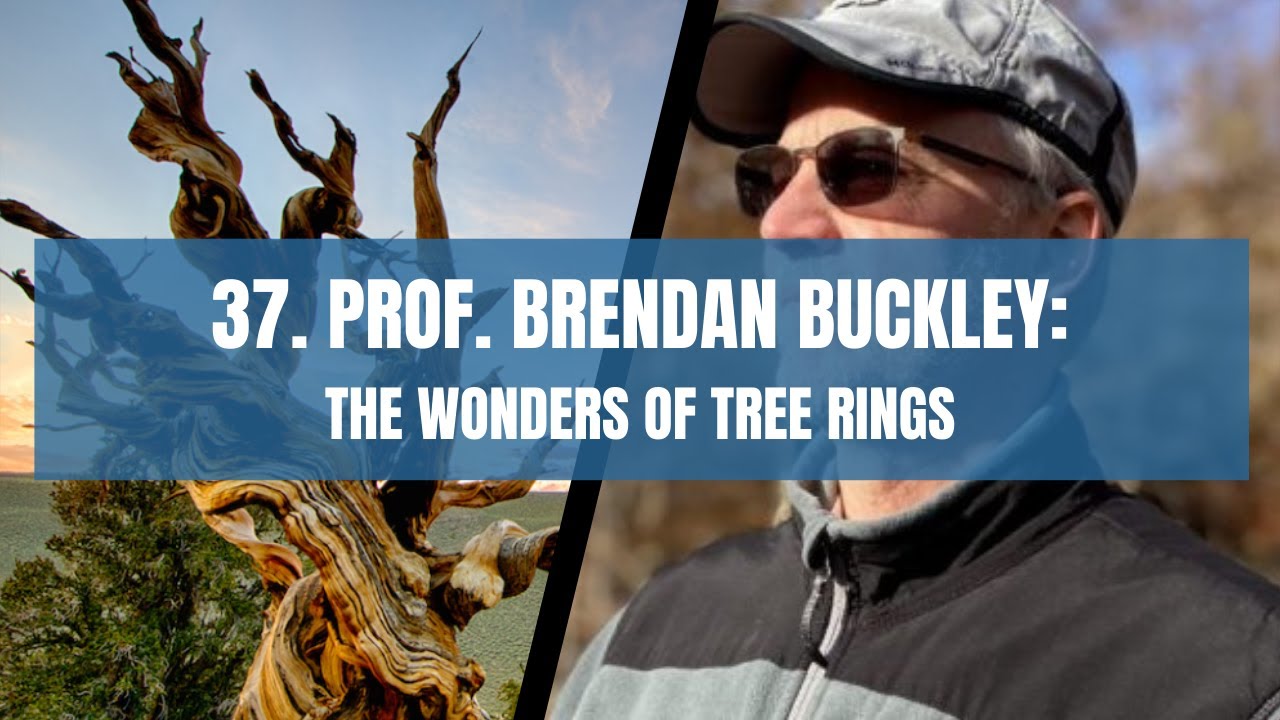 37. Prof. Brendan Buckley: the wonders of tree rings - YouTube