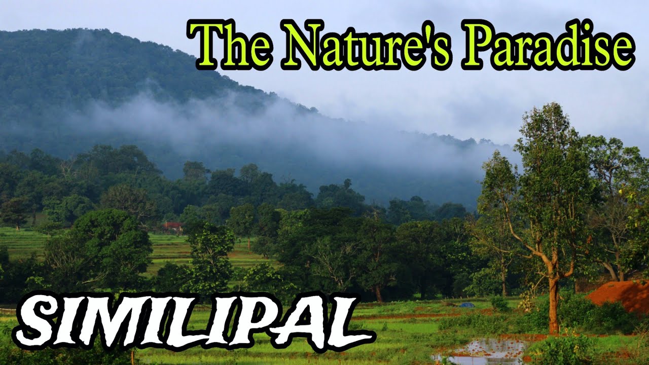 SIMILIPAL NATIONAL PARK| JAMUANI NATURE CAMP| DOCUMENTARY|MAYURBHANJ ...
