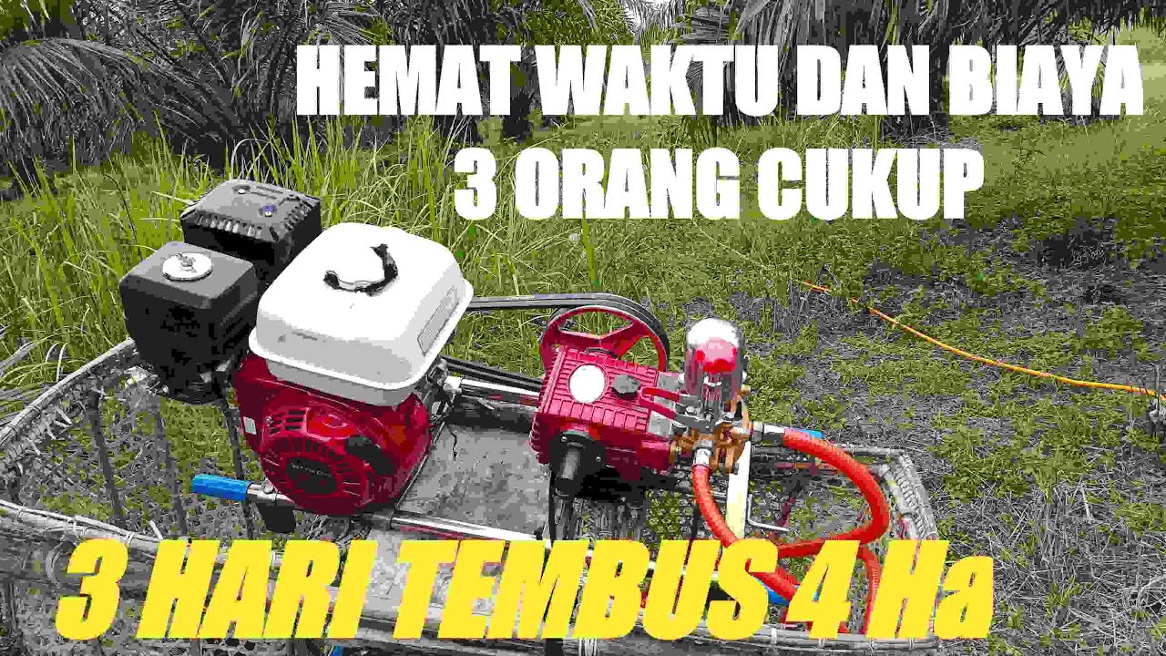 Penyemprotan Rumput Menggunakan Mesin Steam Air.@fahmidustelchannel633 ...