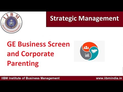 IIBM Institute | Strategic Management | GE Business Screen and ...