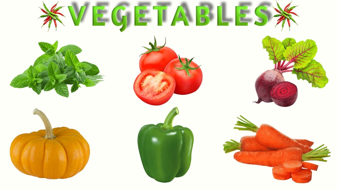 Vegetables Name With Picture | Different Type of Vegetables | Healthy ...