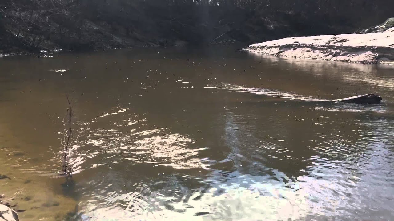On Toro Bayou - YouTube