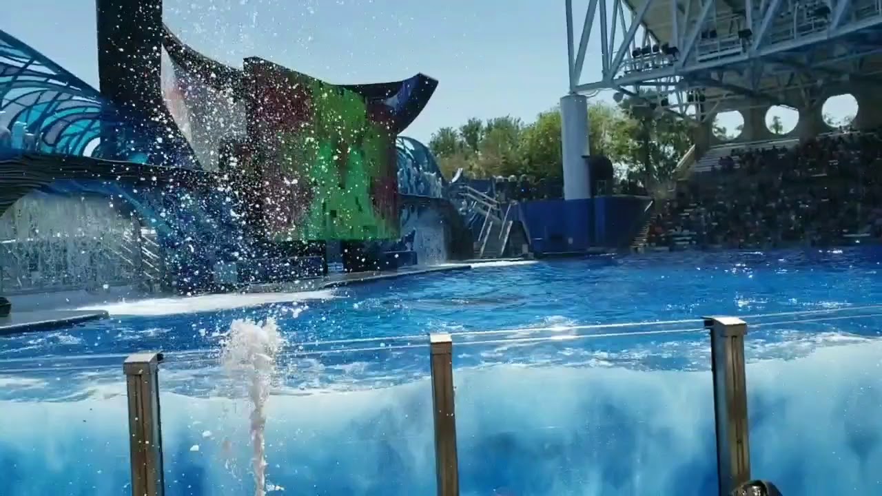 sea world splash zone spring break 2019 - YouTube