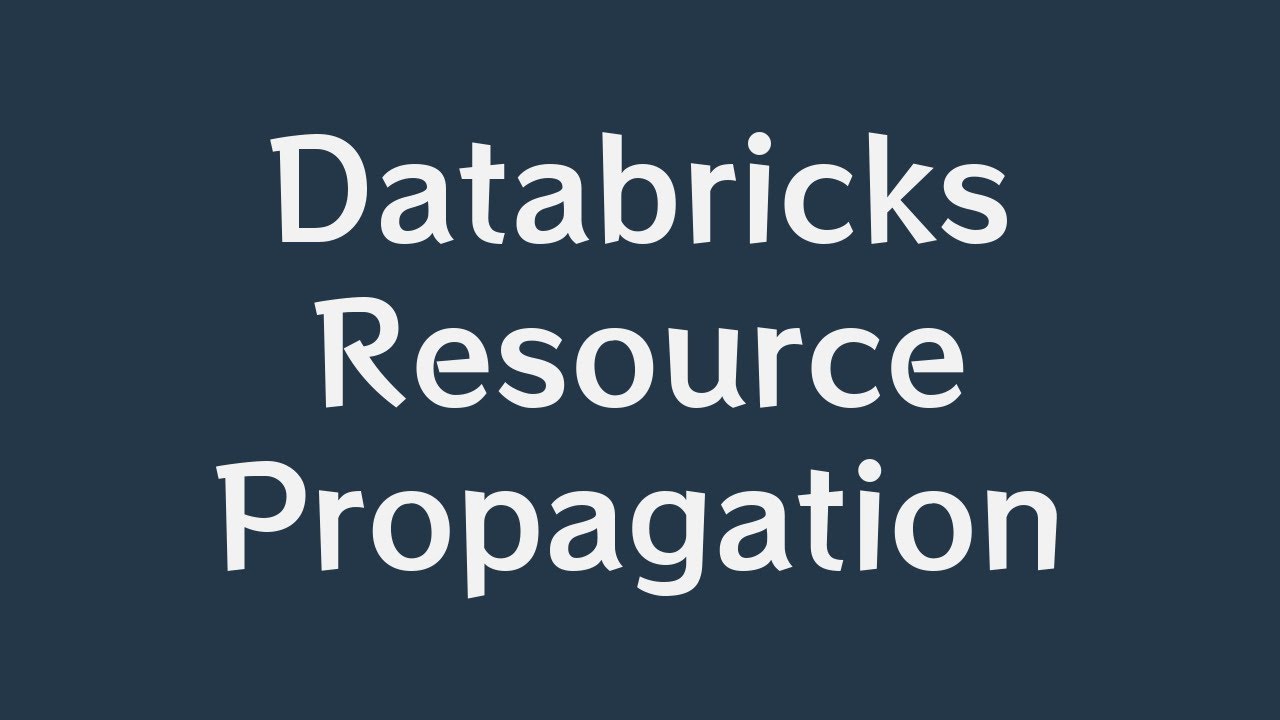 Databricks Resource Propagation - YouTube