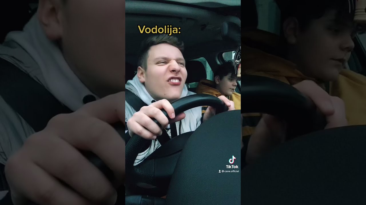 Cane.official POBILI SE VOZAČI 😱 *UPOZORENJE: VIDEO SADRŽI PSOVKE* like ...