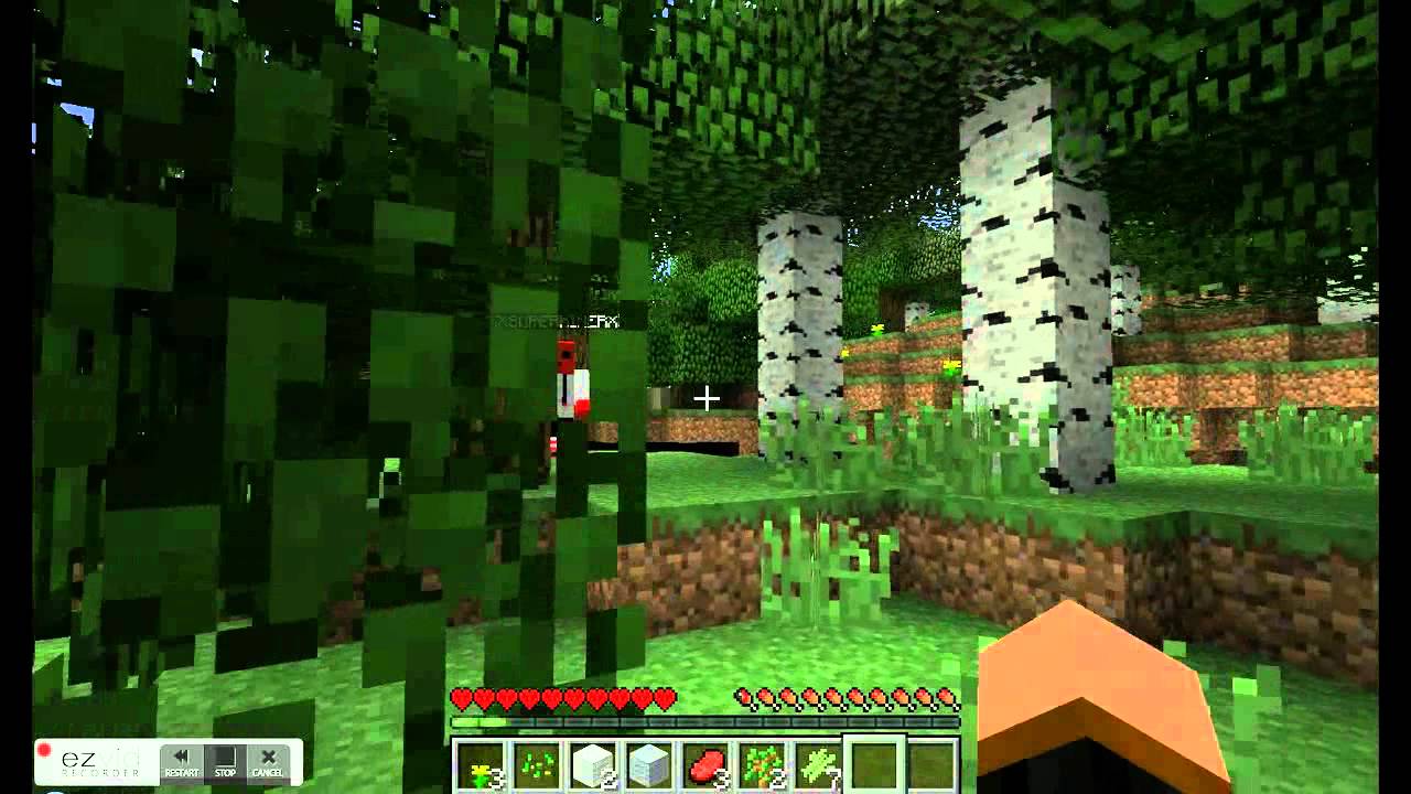 Minecraft Let's PLAY: The Budgie and Bee Episode 1 - YouTube