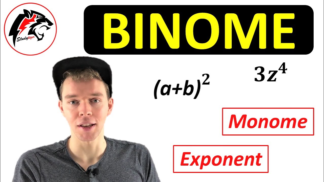 BINOME – Begriffserklärung (Monom, Basis, Exponent, Koeffizient ...
