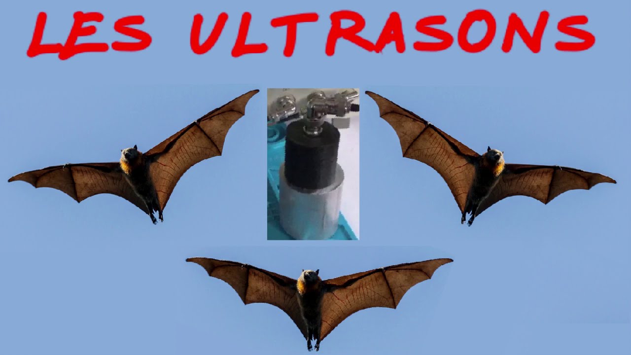Les ultrasons en pratique - YouTube
