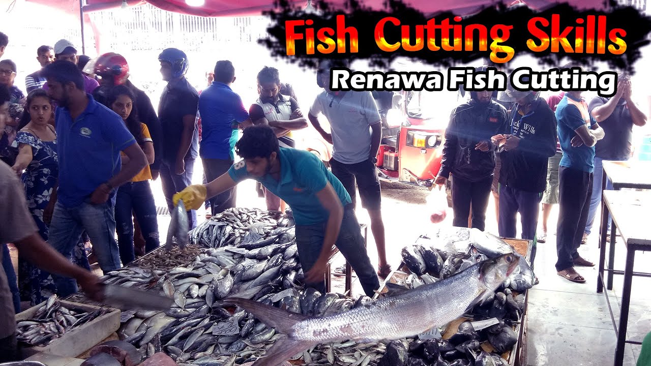 Amazing..!!! Fast Fish Cutting| Renawa Fish | Thalapath |Fish Cutting ...