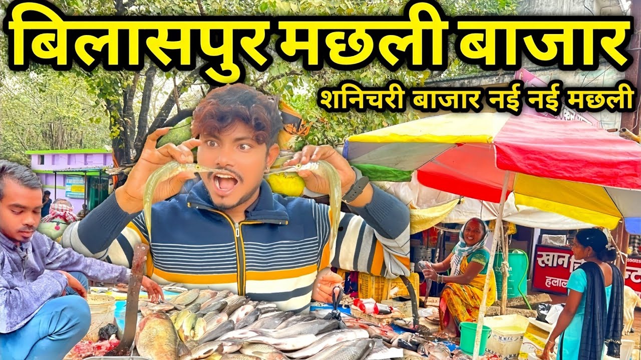 बिलासपुर मछली बाजार | जहां मिलता है नई नई मछली | बिलासपुर बड़ा मछली ...