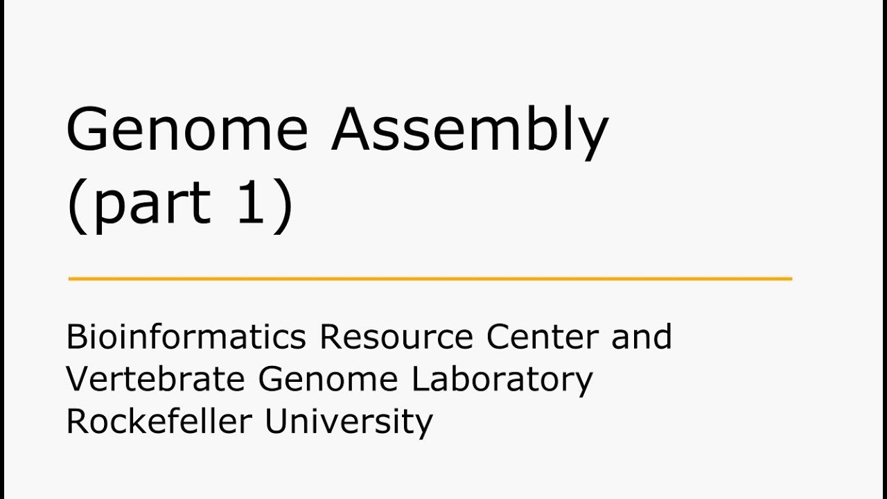 Genome Assembly - part 1 - YouTube