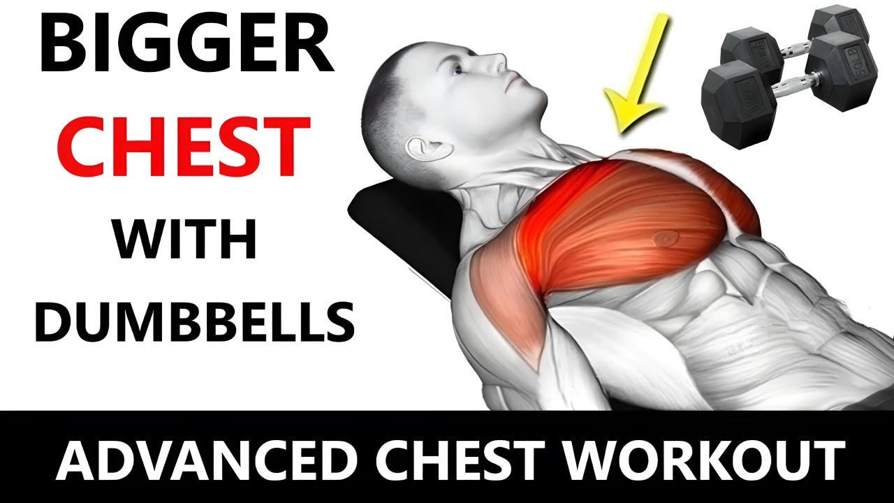 ADVANCED CHEST WORKOUT MUSCLE BUILDING WORKOUT DUMBBELL CHEST WORKOUT ...