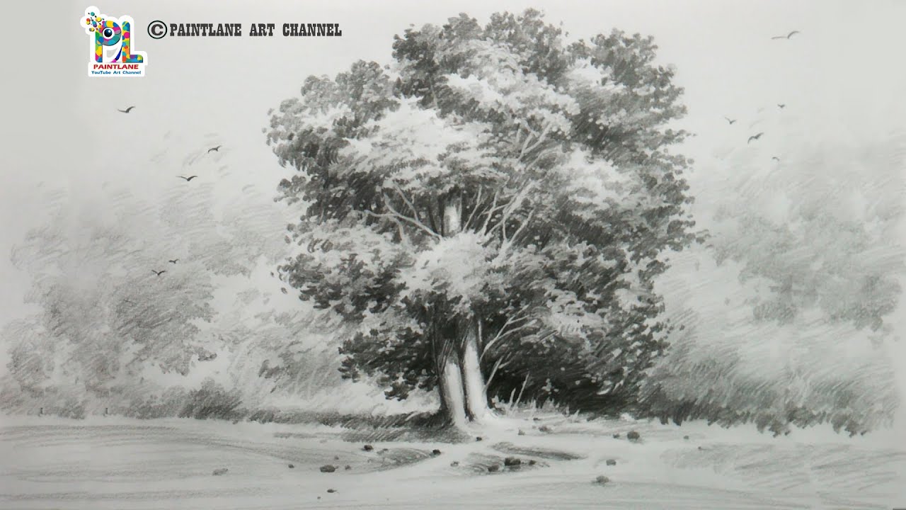 How to draw realistic tree in the nature drawing || Pencil art video ...