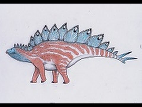 How to draw an accurate Stegosaurus - YouTube
