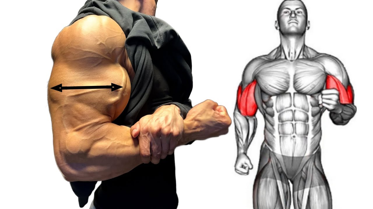 How to Make Your ARMS SIZE HEAVY (Very Effective) - YouTube