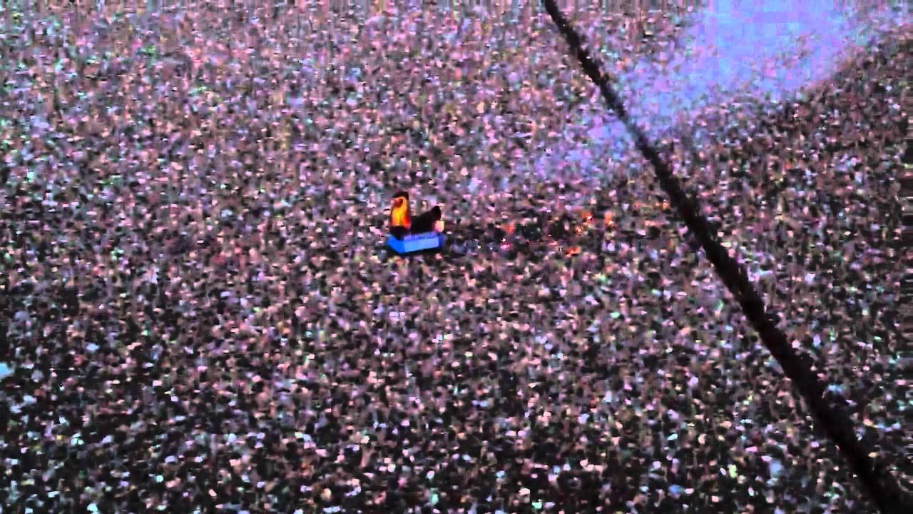 Little chicken firework - YouTube