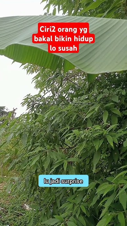 Ciri2 orang yg bakal bikin hidup Lo susah... - YouTube