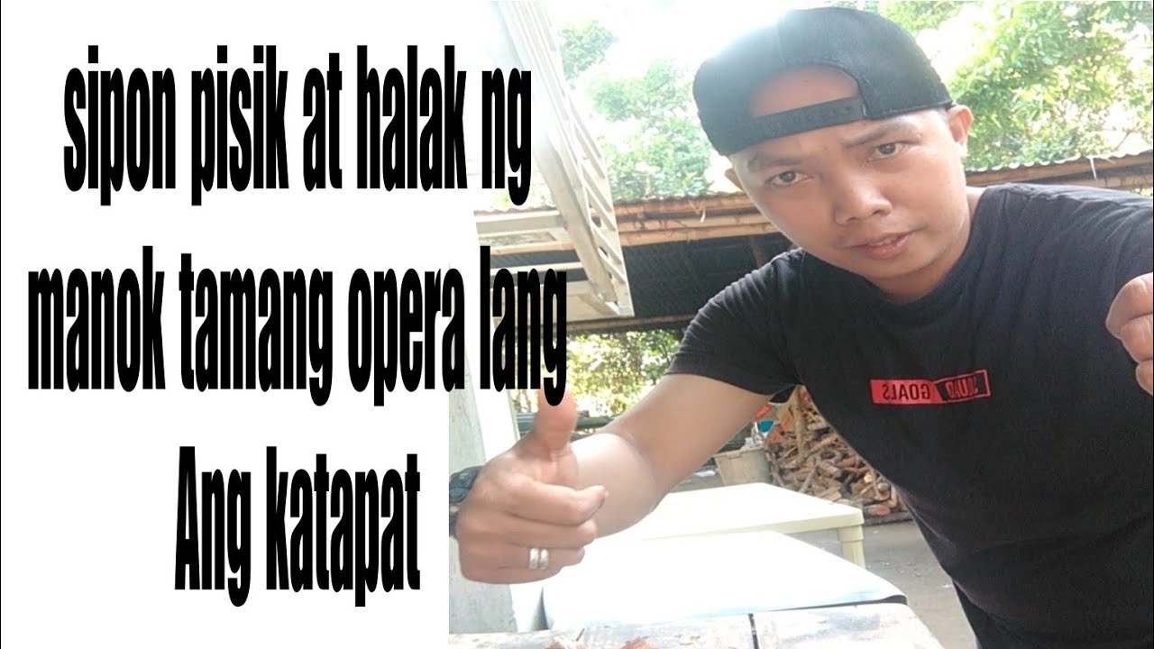 paano mag opera ng manok na may sipon para matangal ang sipon at ...