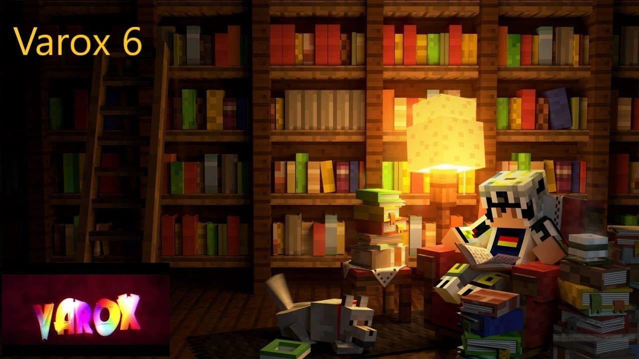 Mit Büchern macht sich alles besser!!! Varox 6 #22 - YouTube