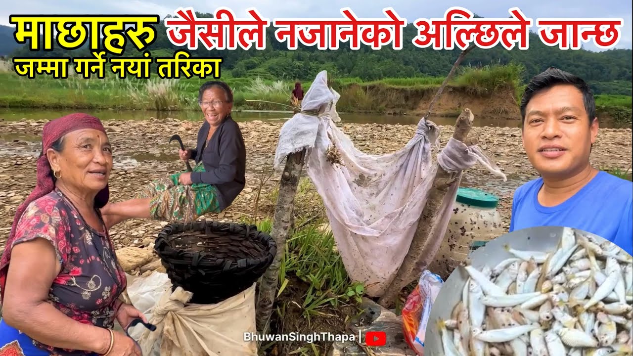 जैसीले नजानेको अल्छीले जान्छ ट्रिक लाएर हेर्नु माछा कति धेरै / Village ...