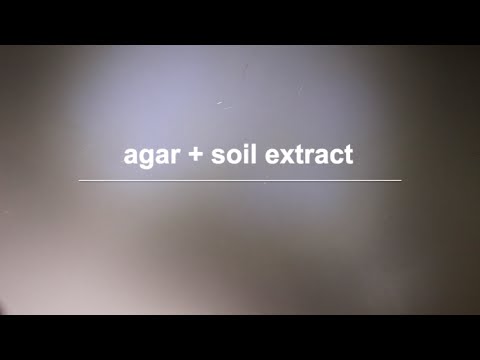 agar + soil extract - YouTube