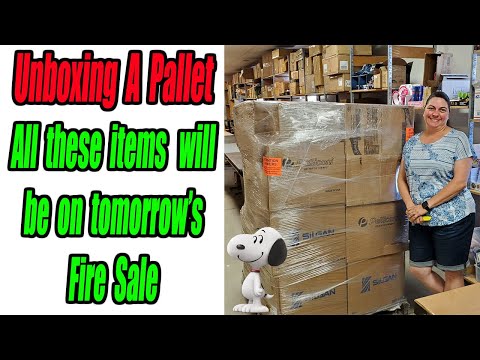 Unboxing a Pallet - All these items will be on tomorrow's Fire Sale - Is that a Snoopy I see!?