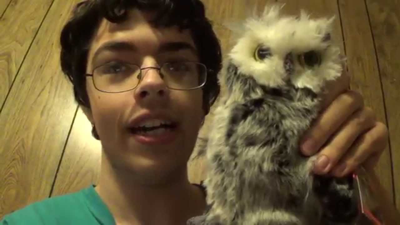 Mr Owl (Day 9 - 1/7/2015) - YouTube