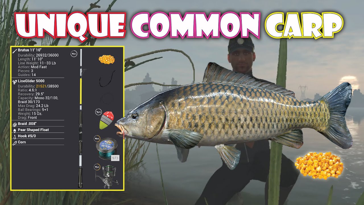 Fishing Planet : Unique Common Carp ใช้กี่นาทีถึงตกได้? - YouTube
