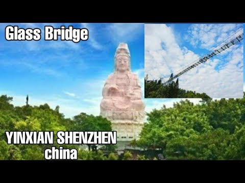 GLASS BRIDGE AT YINXIAN SHENZHEN CHINA | CHINA TOUR (2018) - YouTube