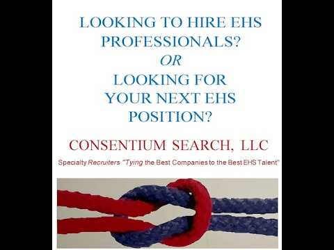 Construction Project Team Safety Manager 1866