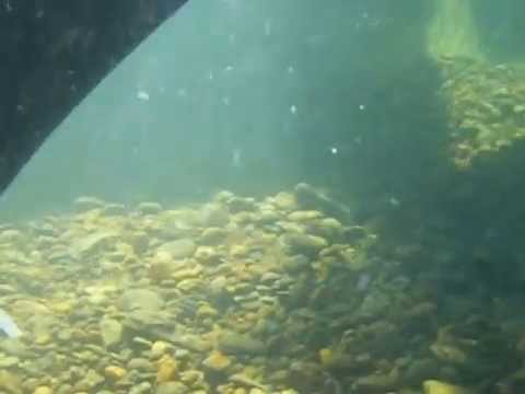 Blue Hole Ocoee swimming hole -- underwater tunnel journey - YouTube