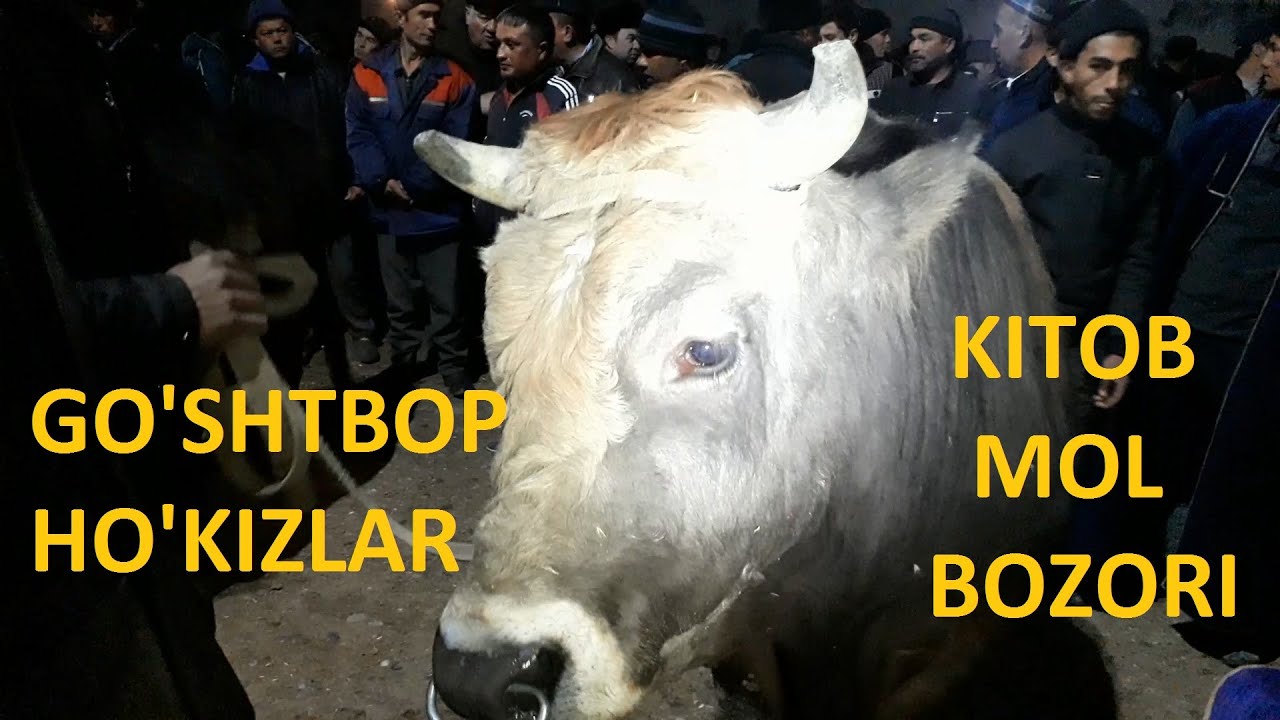 01 KITOB TUMANI MOL BOZORI 15.02.2020 - YouTube