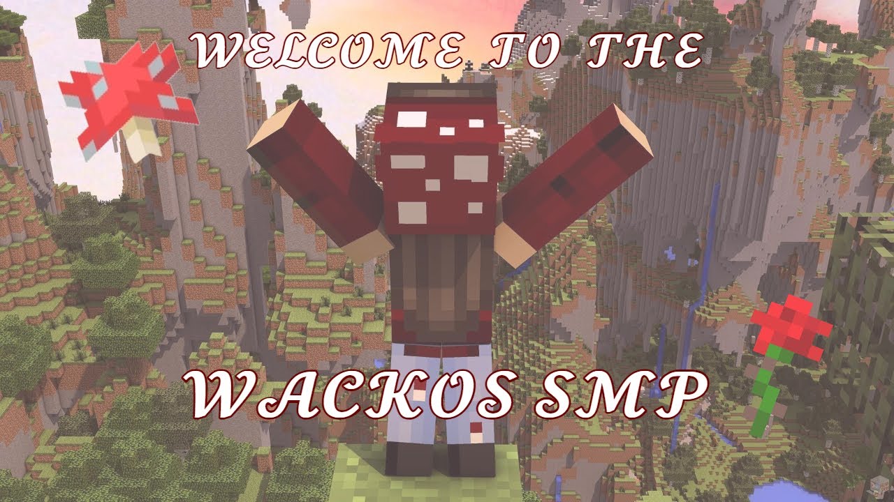 Welcome to the Wackos SMP - YouTube