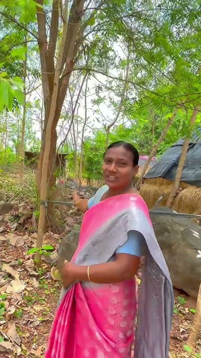 మా గడ్డివాము, వెనక గుట్ట, జమైల్ చెట్లు - Anitha Vlogs ! - YouTube